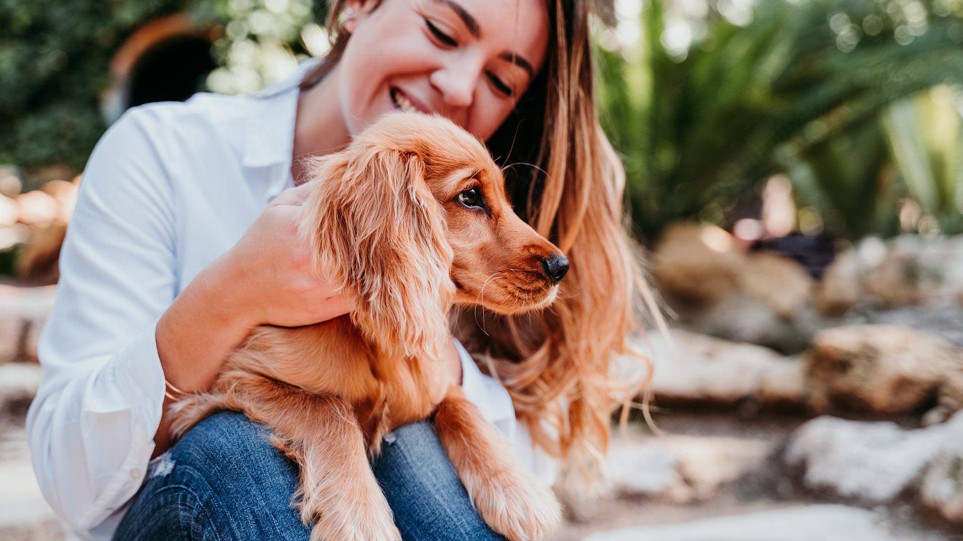 Our History - Healthy Pets of Ohio